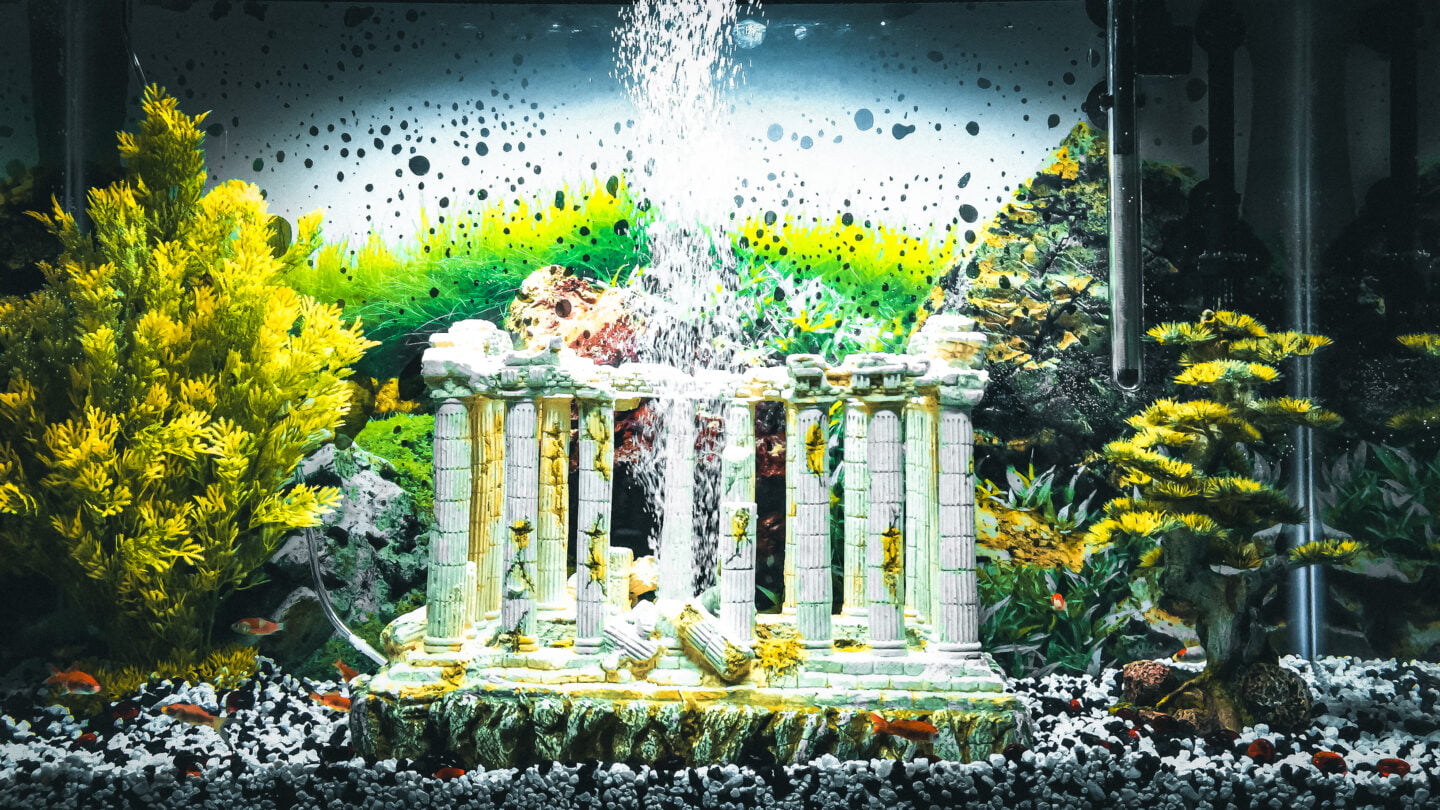 How to Cycle a Tank in 24 Hours: A Step-by-Step Guide